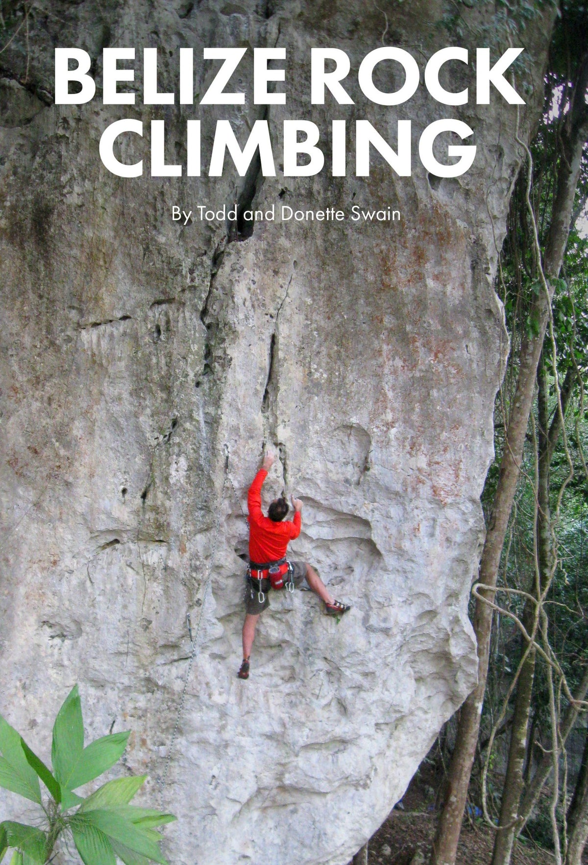 Belize Rock Climbing | Rock & Resole